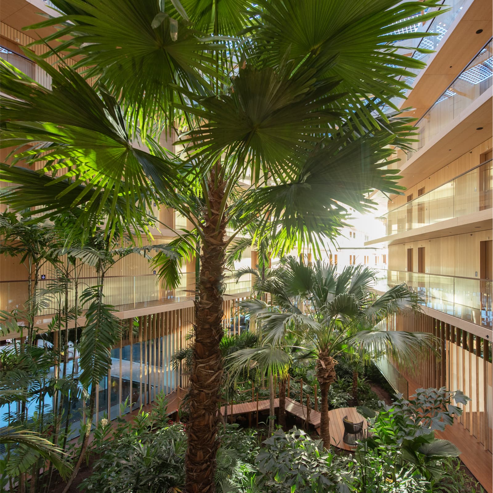 Binnentuin Hotel Jakarta - Copijn